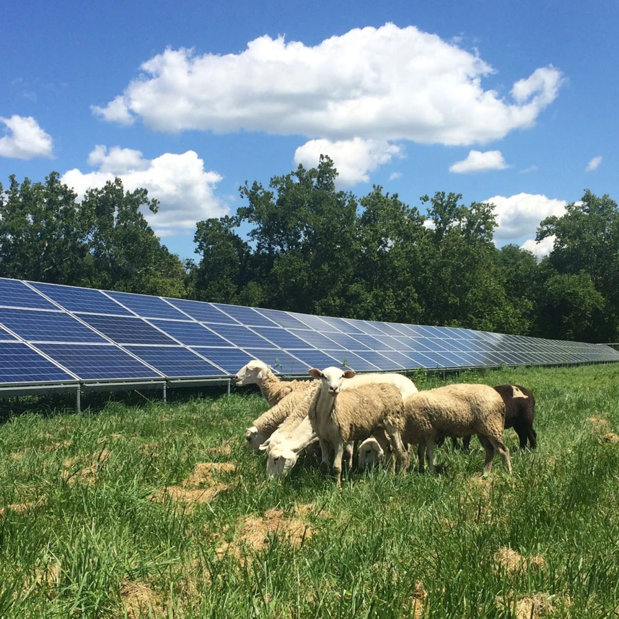 Charting Vermont’s renewable energy transition to solar - VEIC